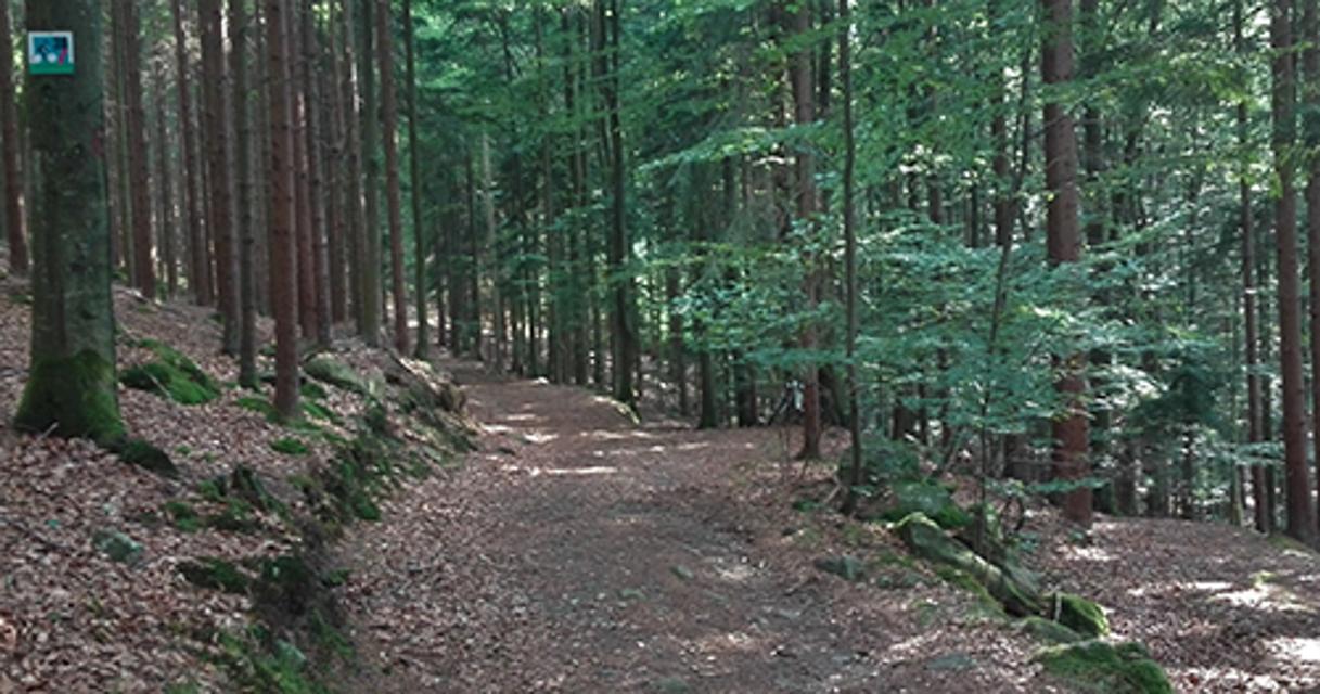 Zellertal-Tour Nr. 42