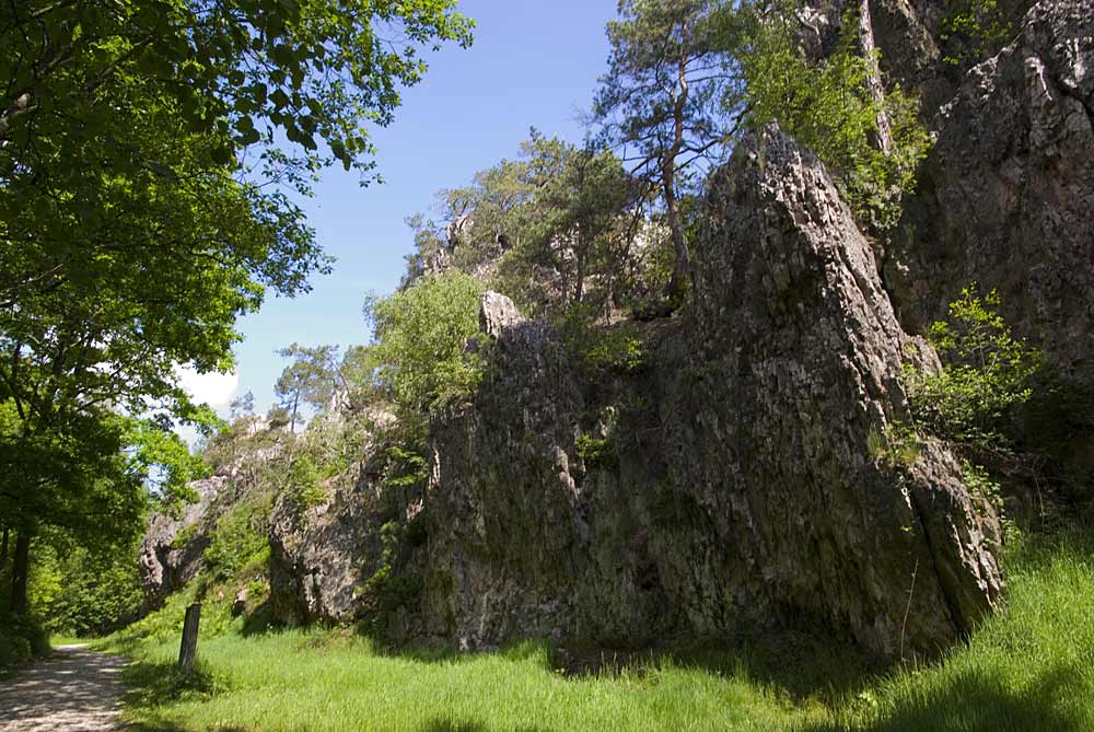 Urlaub Viechtach: Aktuelle Informationen für Ihren Urlaub Viechtach in ...