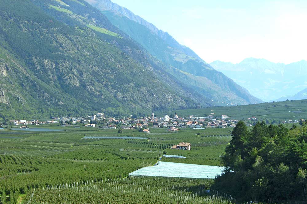 Urlaub Latsch: Aktuelle Informationen für Ihren Urlaub Latsch in Südtirol